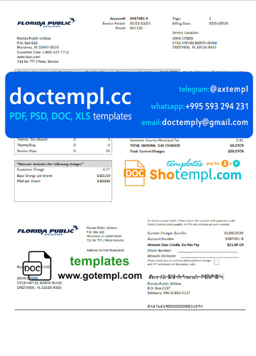 Doctempl - USA FPL electricity utility bill Word and PDF formats, 2 pages, version 2 - Page 1
