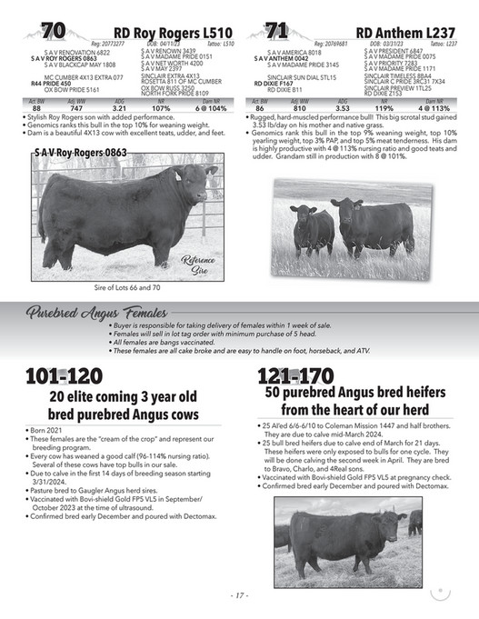 Ballyhoo Printing - Gaugler Angus - Page 18-19