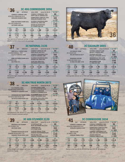 Ballyhoo Printing - 3C Cattle - Page 12-13