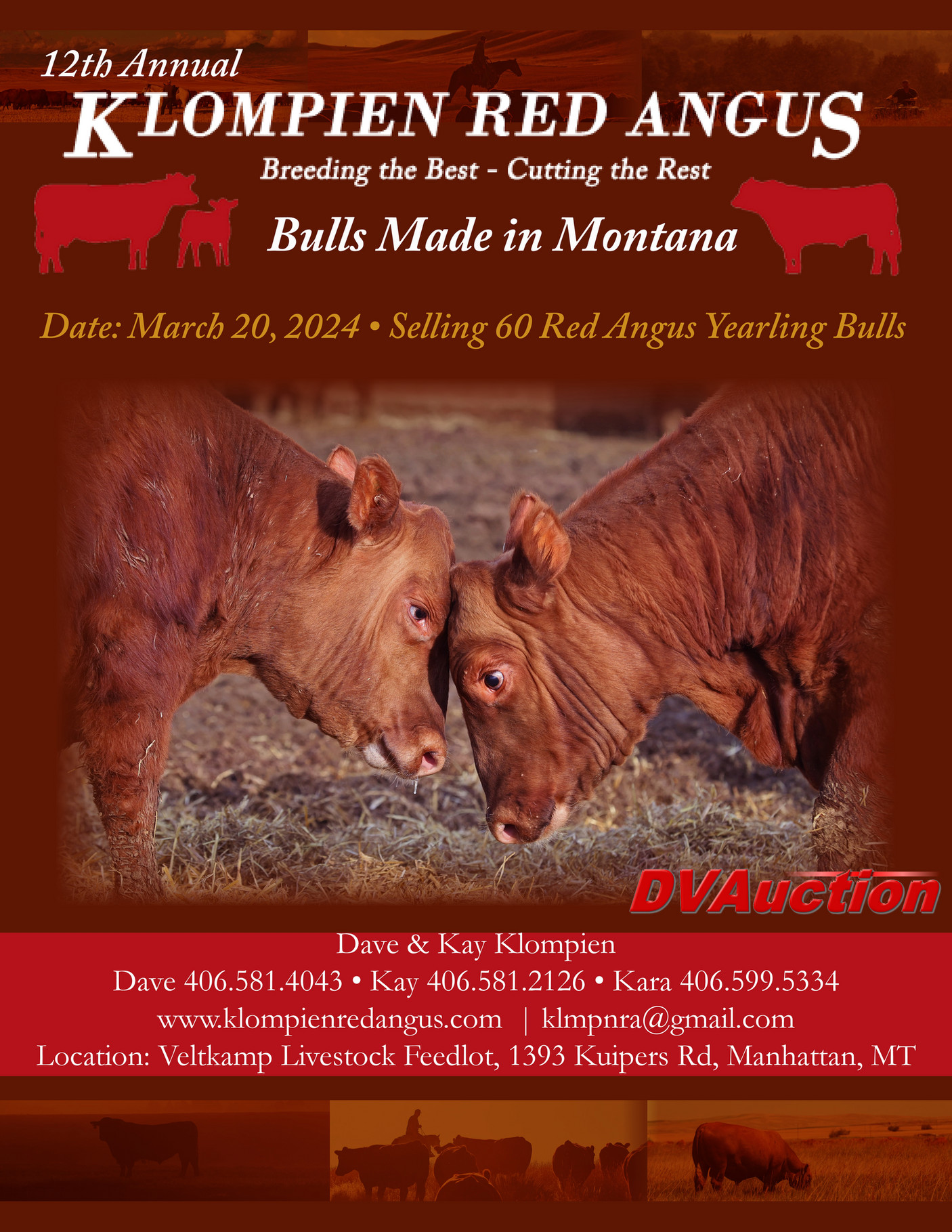 Ballyhoo Printing - 2024 Klompien Red Angus Catalog - Page 2-3