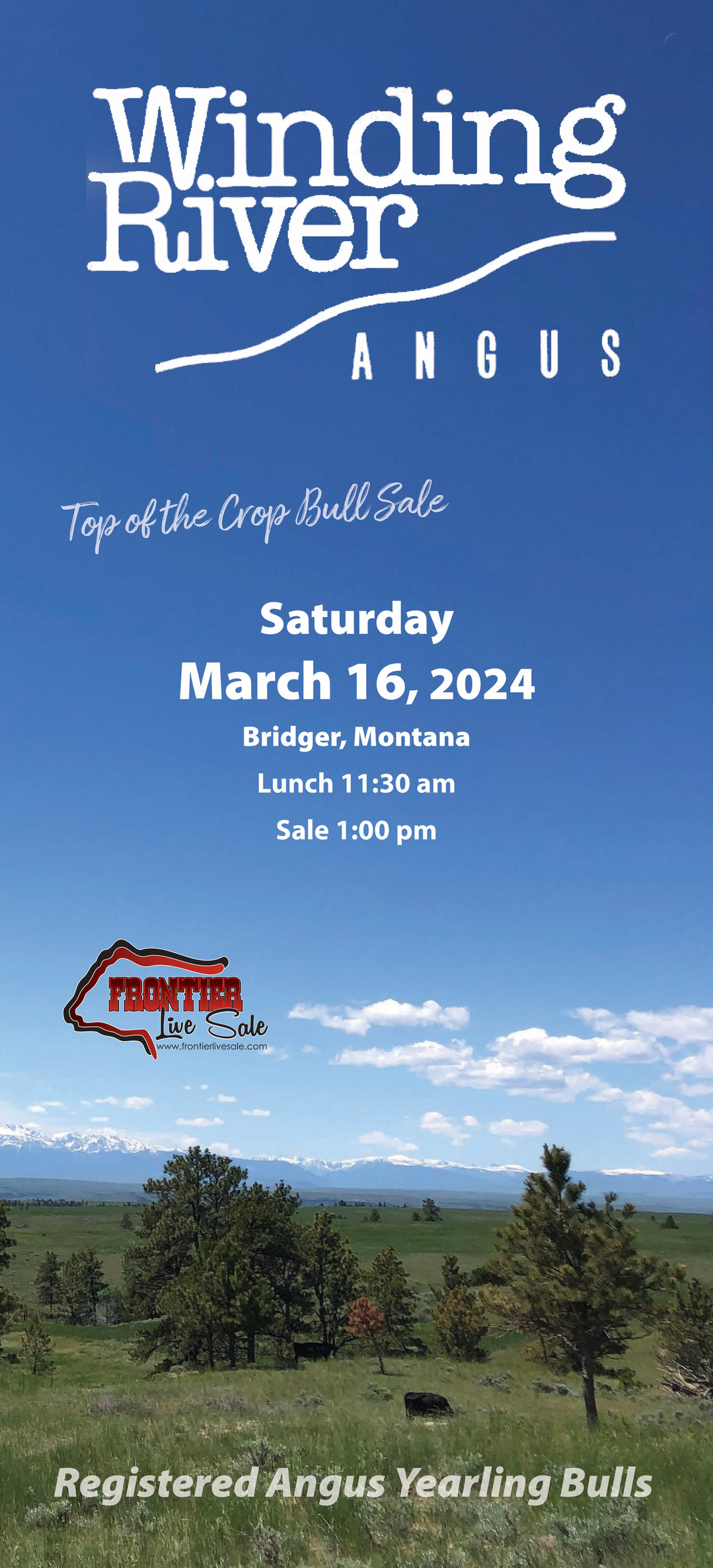 Ballyhoo Printing - Winding River Angus 2024 - Page 2-3