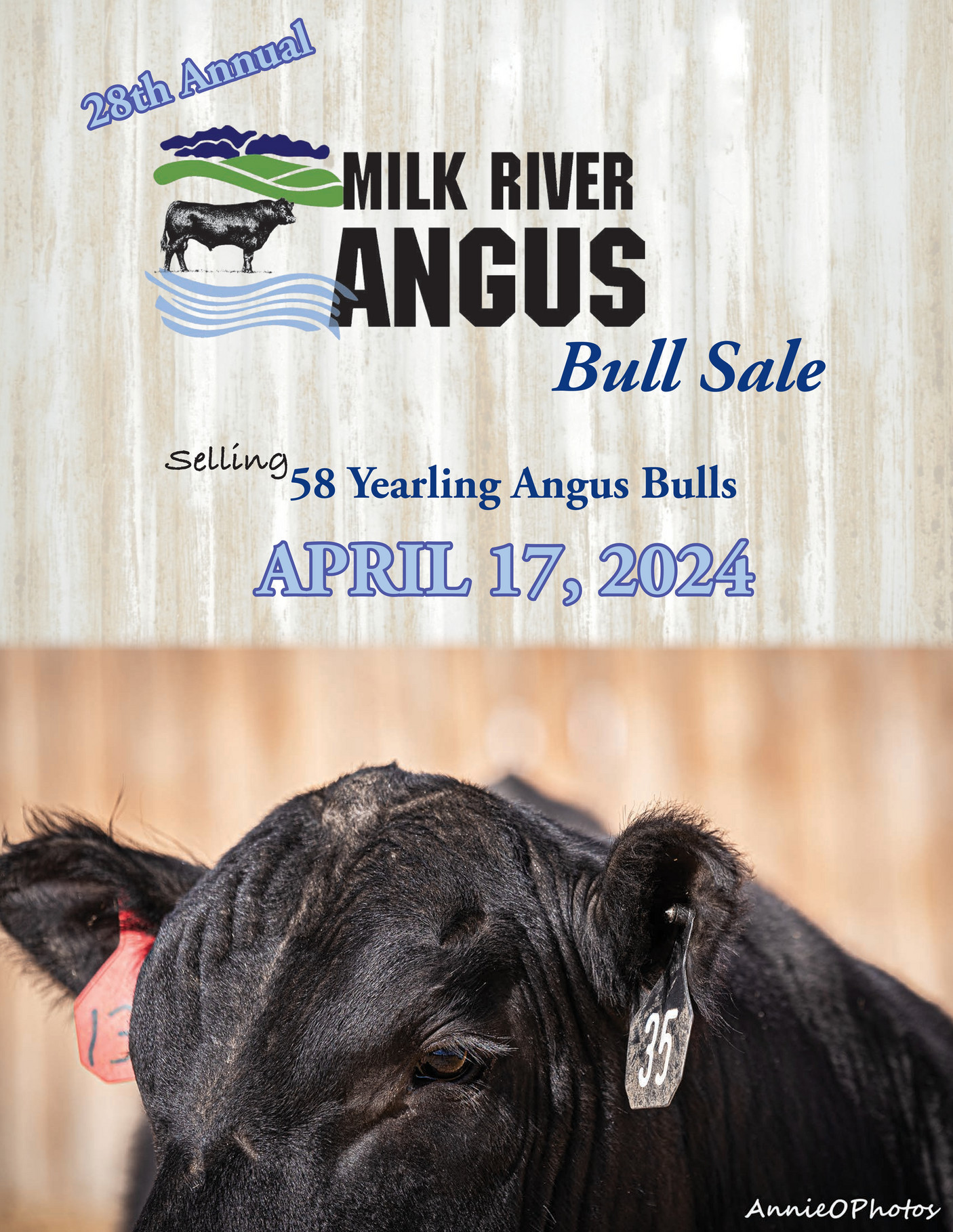 Ballyhoo Printing - Milk River Angus 2024 - Page 2-3