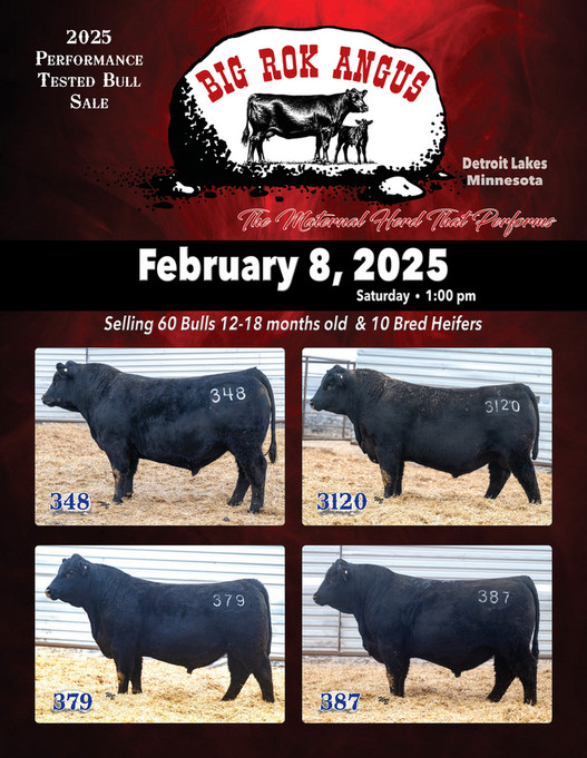 Ballyhoo Printing - Big Rok Angus 2025 - Page 1