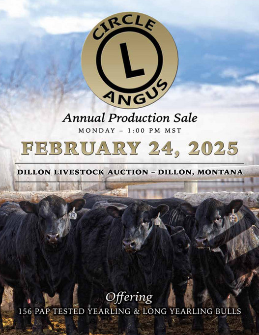 Ballyhoo Printing - Circle L Angus 2025 - Page 1