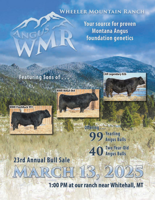 Ballyhoo Printing - Wheeler Mountain Ranch 2025 - Page 1