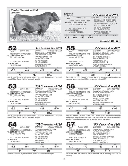 Ballyhoo Printing - Veltkamp Angus 2025 - Page 12-13