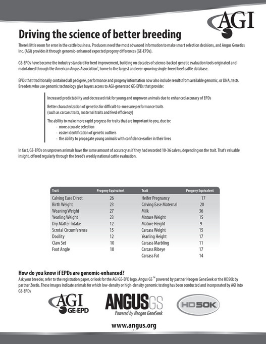 Ballyhoo Printing - Hilltop Angus 2025 - Page 6-7