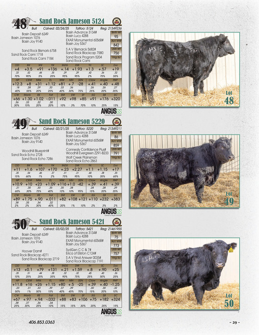 Ballyhoo Printing - Sand Rock 2026 - Page 28-29