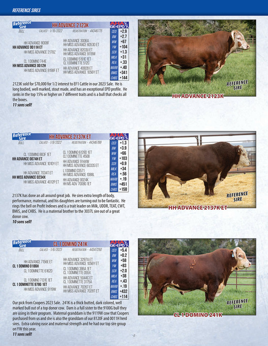 Ballyhoo Printing - Holden Herefords 2026 - Page 8-9