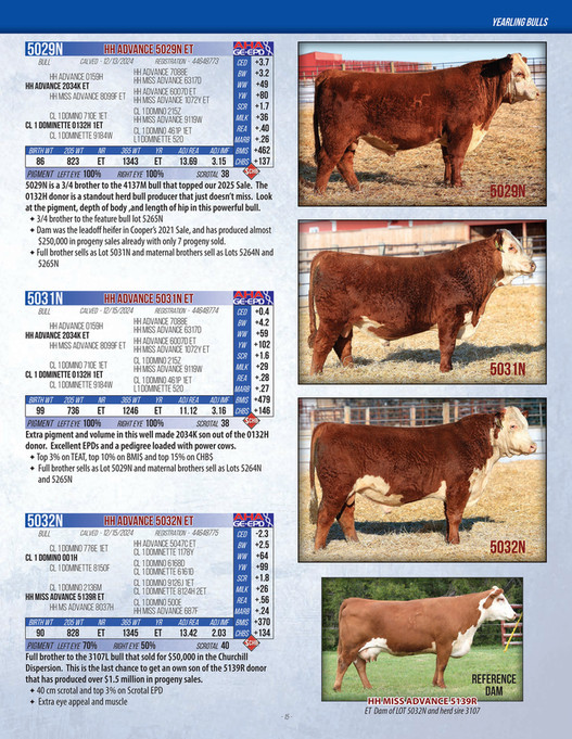 Ballyhoo Printing - Holden Herefords 2026 - Page 14-15