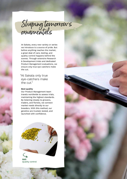 Sakata catalogue Cut Flowers 2025 - 2026 - Page 8-9