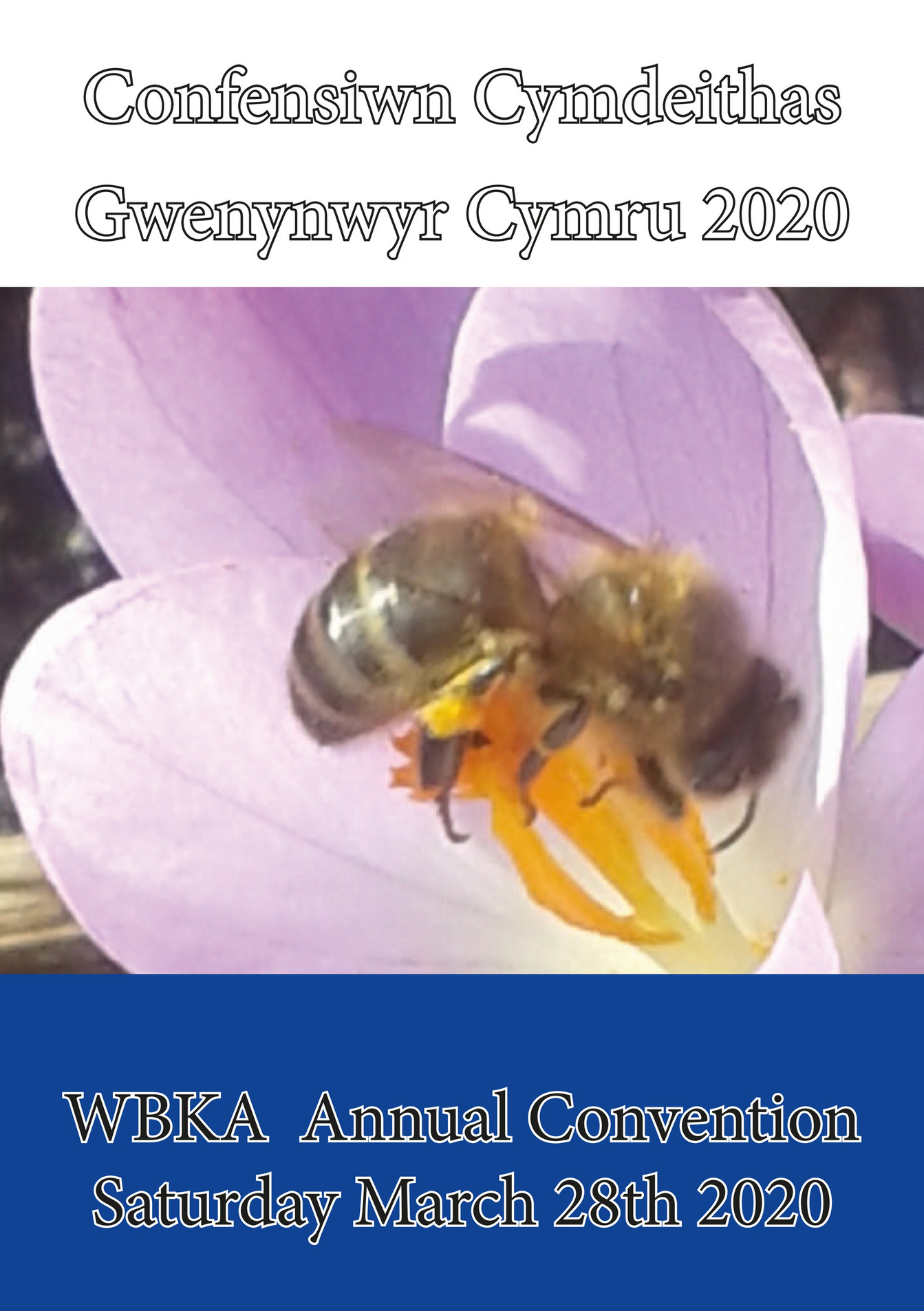 Welsh Beekeeper - Convention Booklet 2020 - Page 1 - Created with ...
