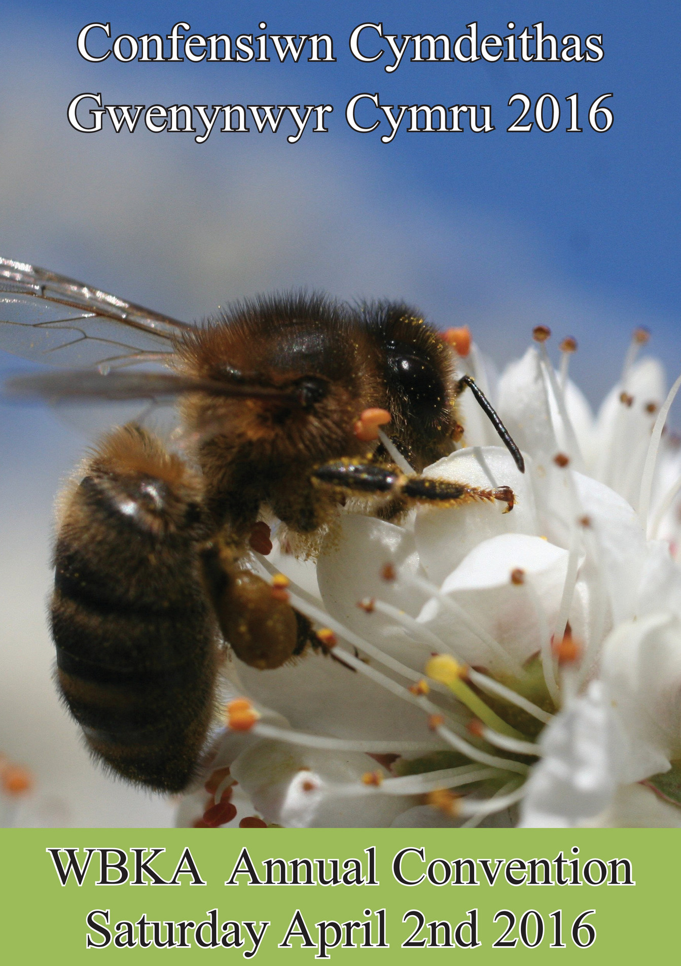 Welsh Beekeeper - Convention Programme 2016 - Page 1 - Created with ...