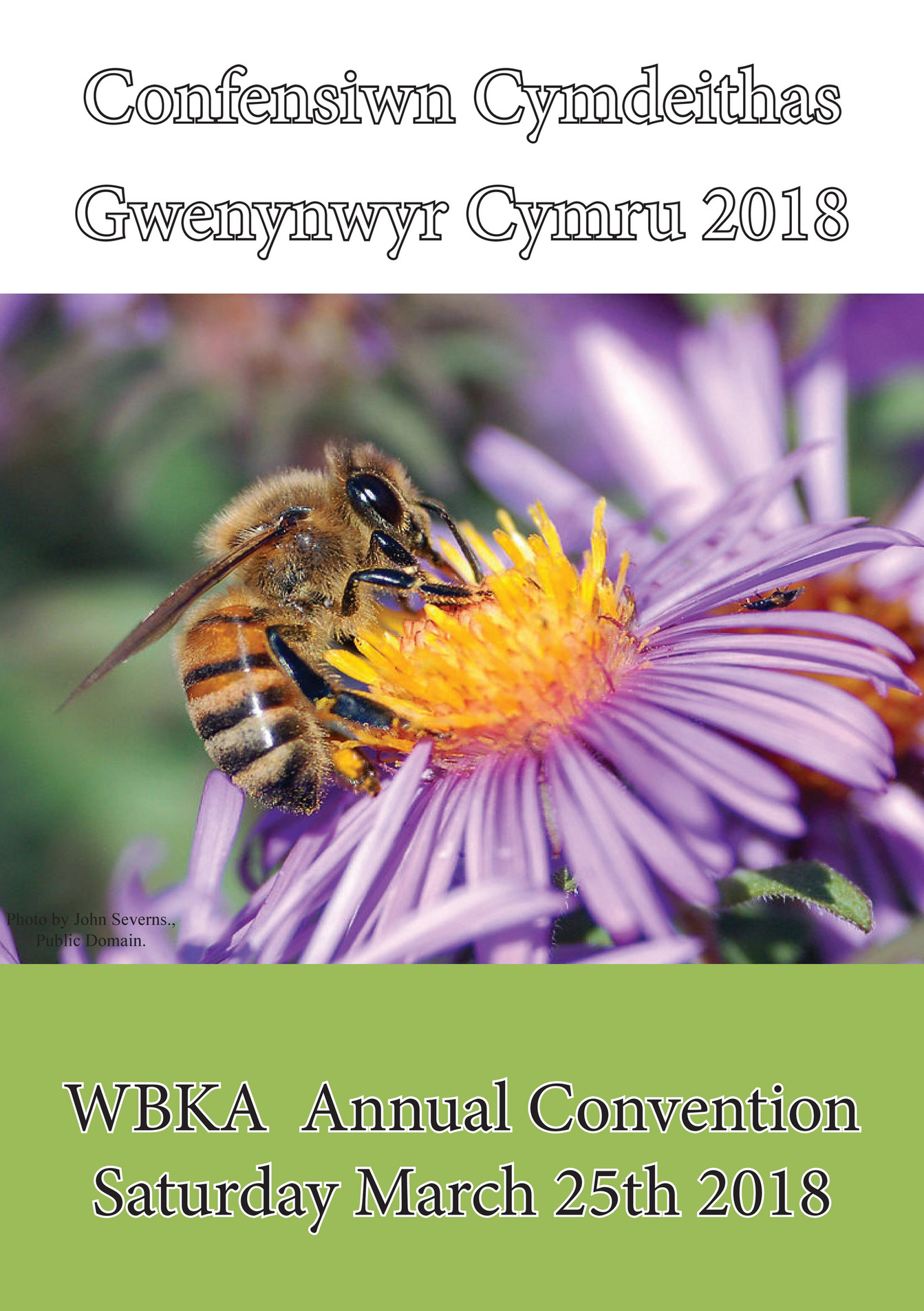 Welsh Beekeeper - Convention Programme 2018 - Page 1 - Created with ...