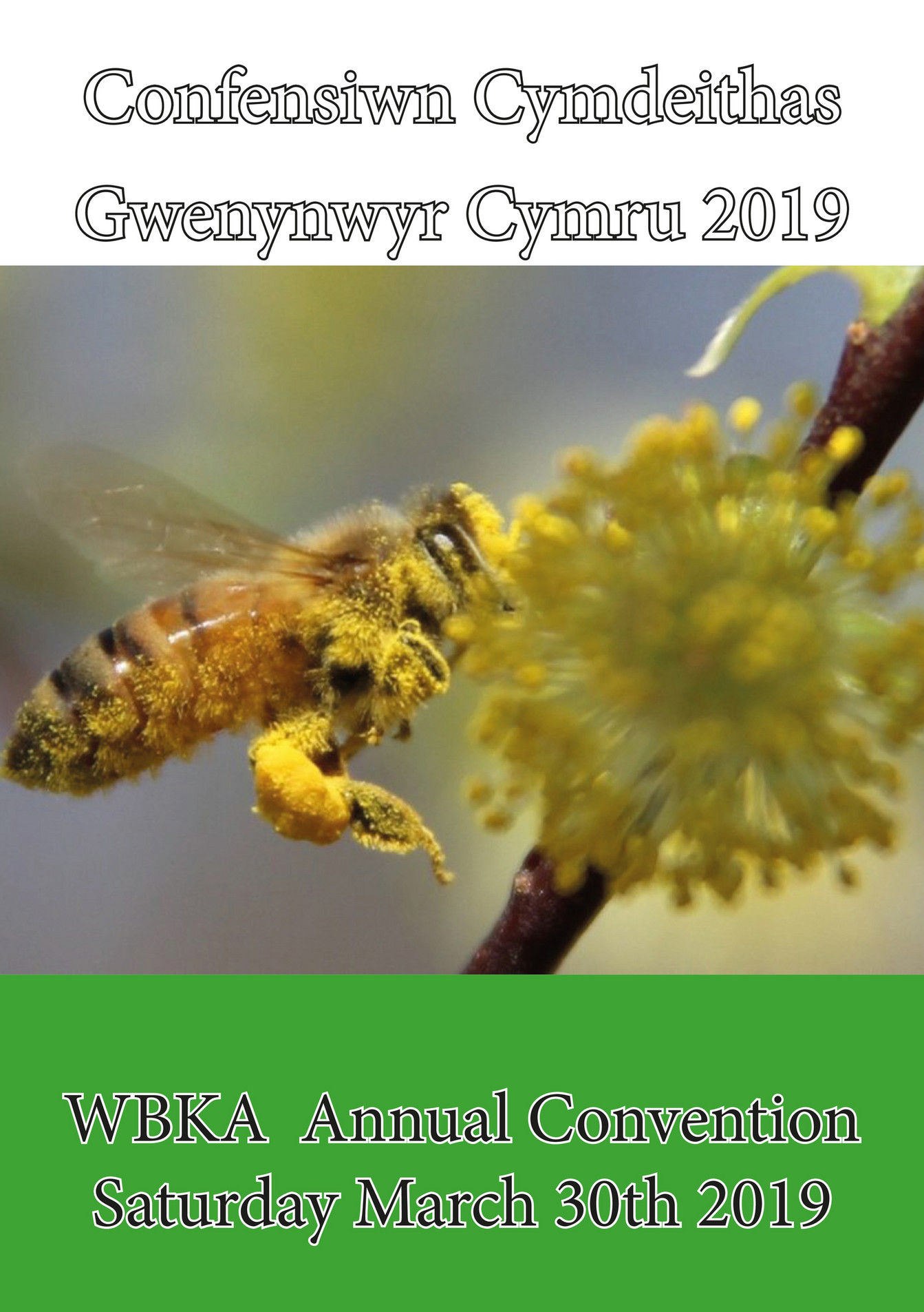 Welsh Beekeeper - Convention Programme 2019 - Page 1 - Created with ...