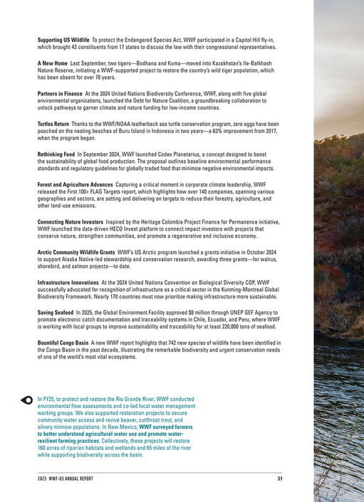 My publications - WWF Annual Report 2025 - Page 30-31