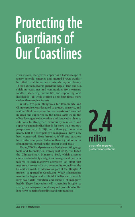 My publications - WWF Annual Report 2025 - Page 6-7