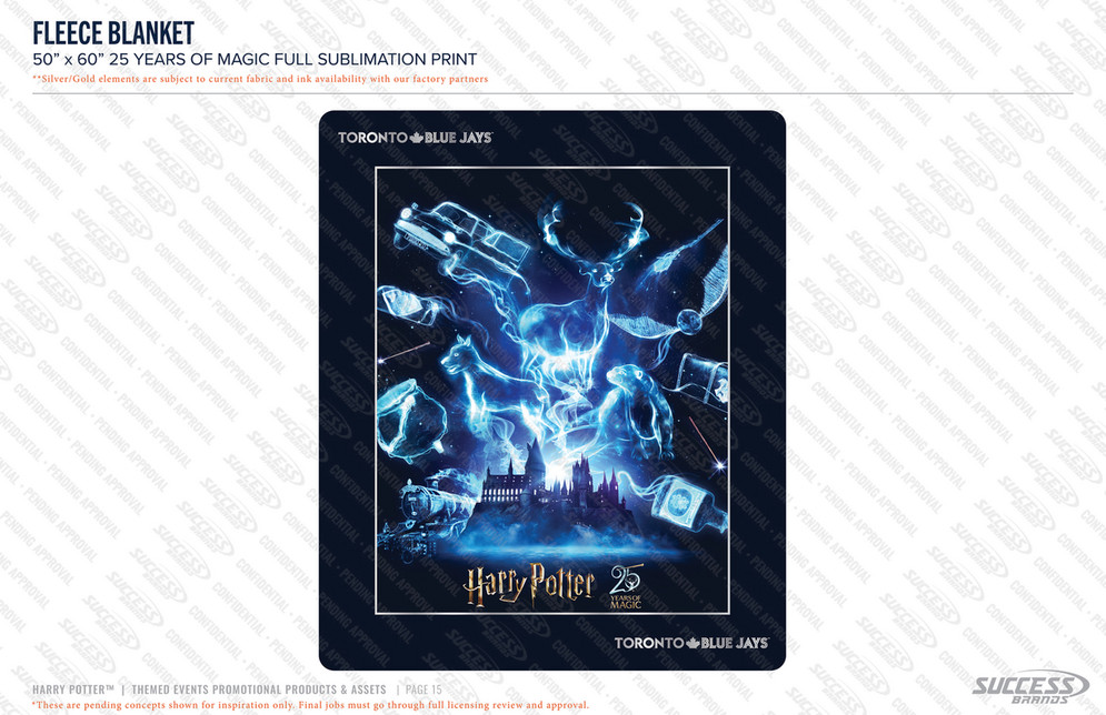 Themed Events - Harry Potter 25 Years of Magic - Page 16