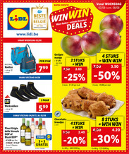 Lidl Folder - Weekpromoties 31