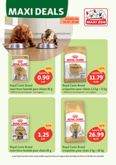 Folder Maxi Zoo - Promotion de la semaine 42